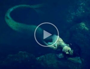 A video goes viral of a mermaid in South Africa – MACG Magazine